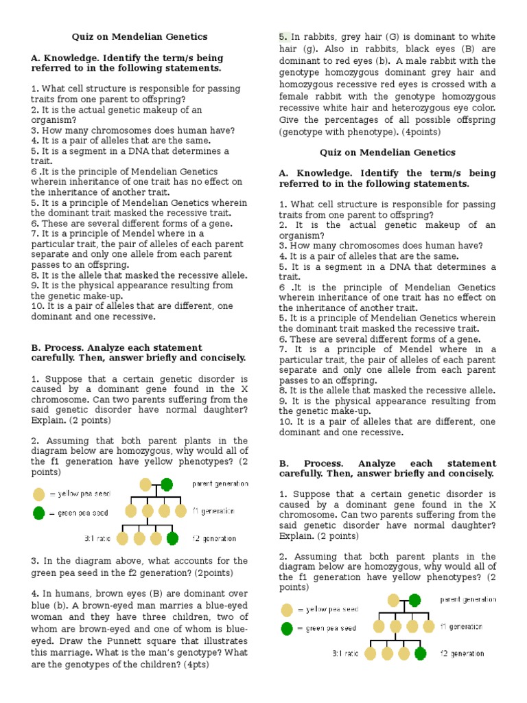 Quiz On Mendelian Genetics | PDF | Dominance (Genetics) | Allele