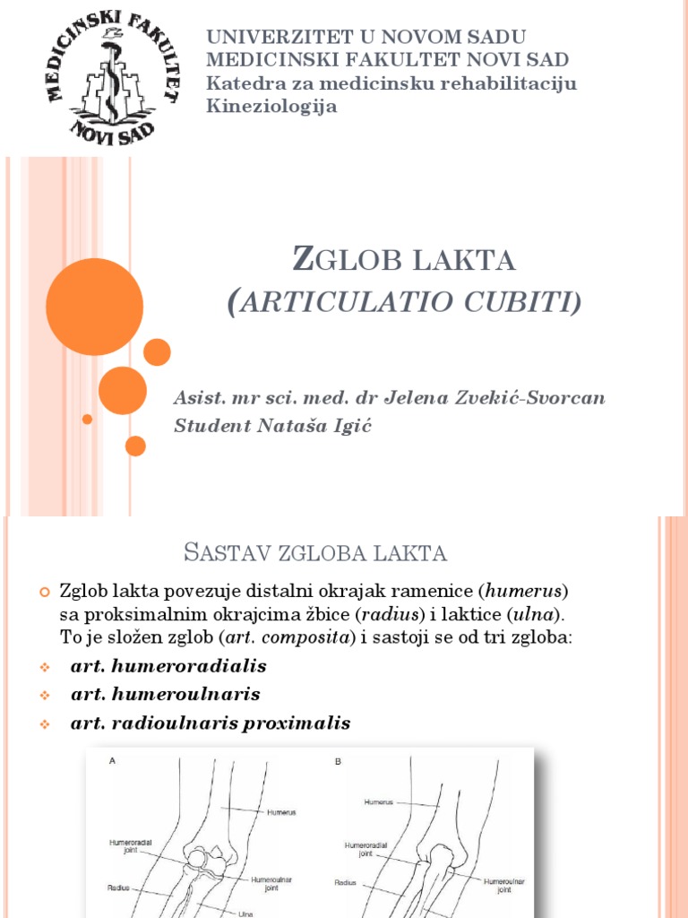 Zglob Lakta Art - Cubiti Elbow Joint | PDF