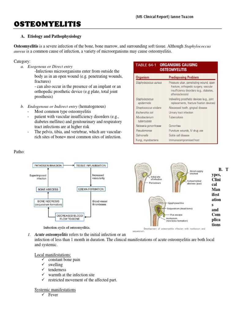 Osteomyelitis | PDF | Wound | Surgery