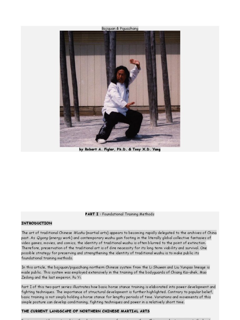 Bajiquan & Piguazhang Training Methods | PDF | Chinese Martial Arts ...