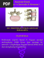 Anatomi Trunkus Manusia | PDF