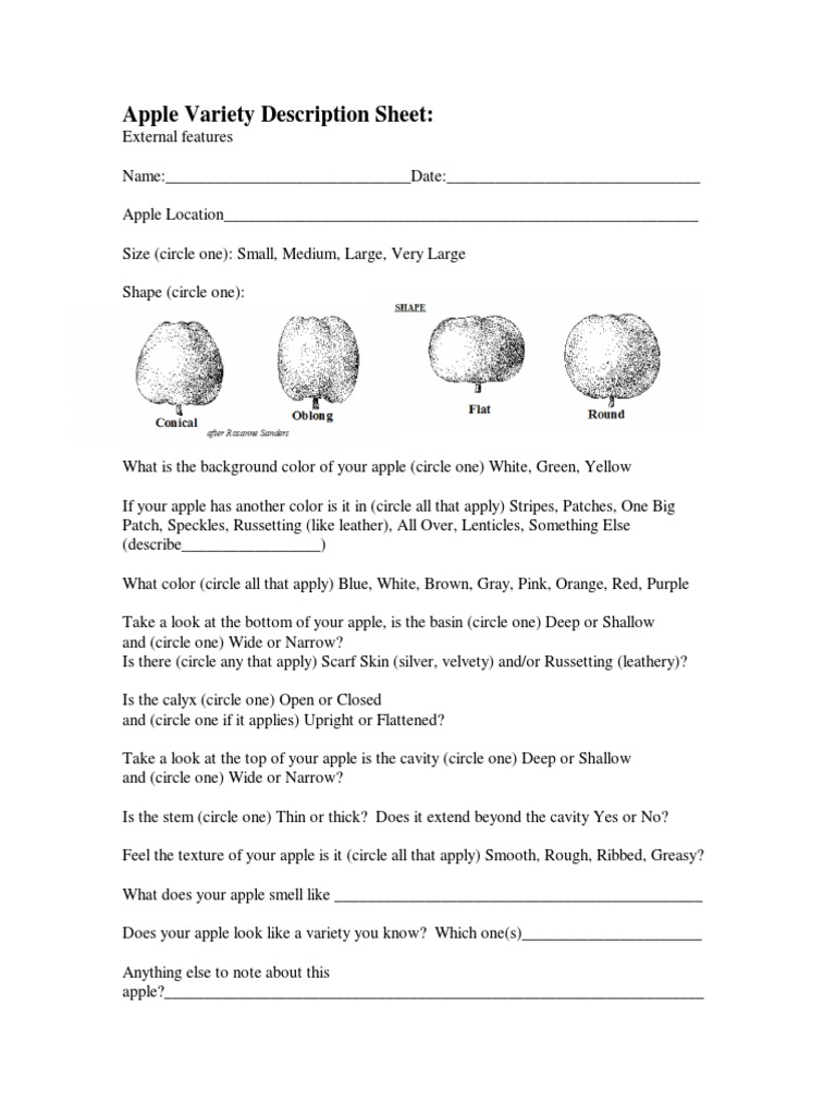 Apple Variety Observation Guide | PDF