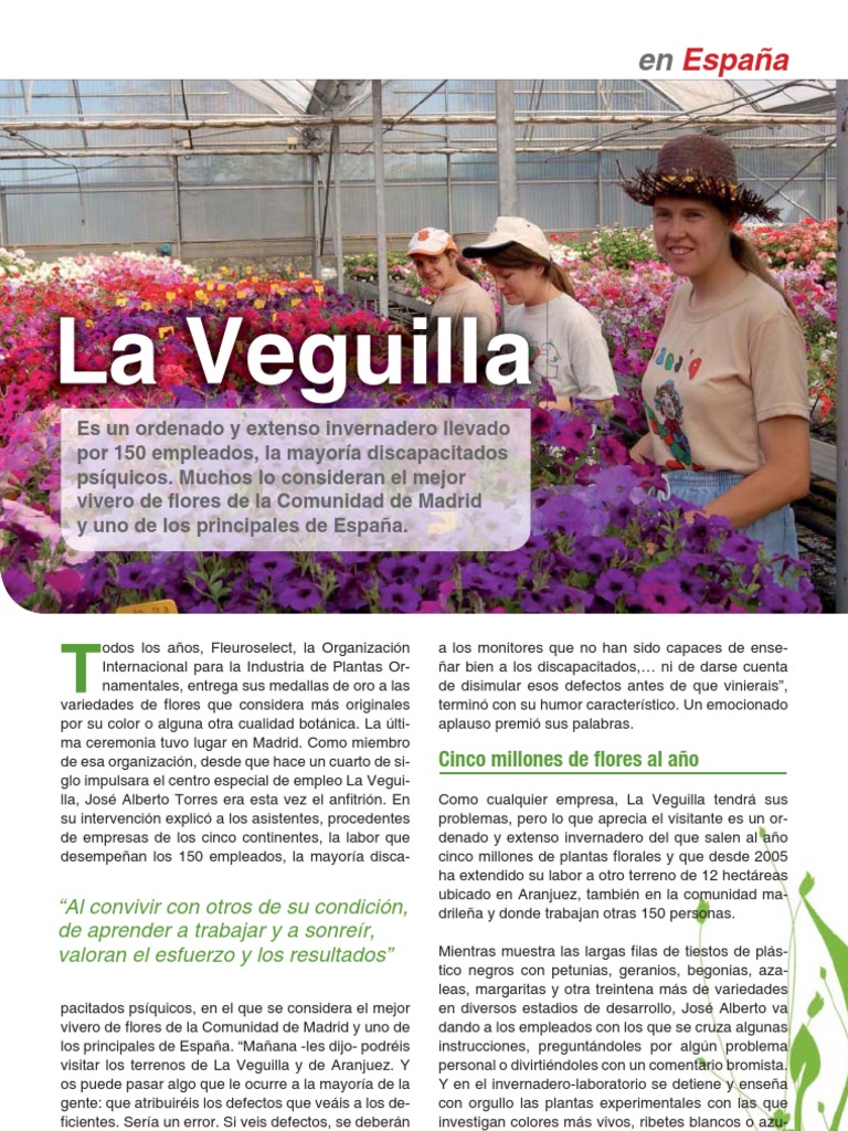 La Veguilla | PDF | Bienestar | Medicina