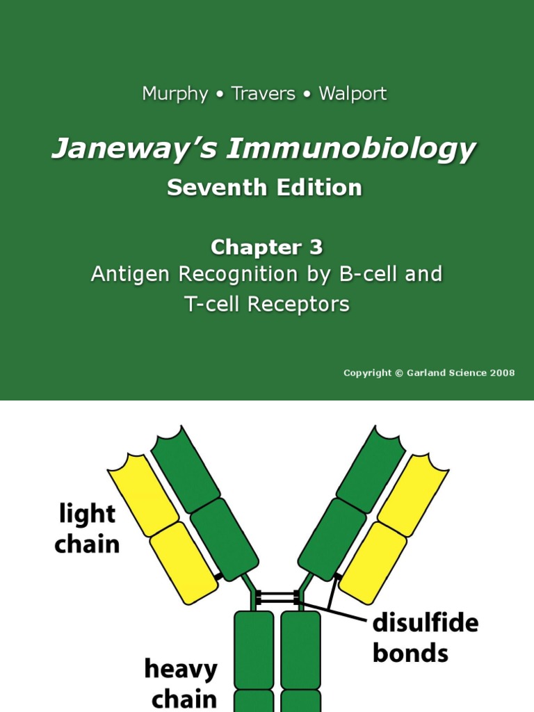 Janeway's Immunobiology: Seventh Edition | PDF