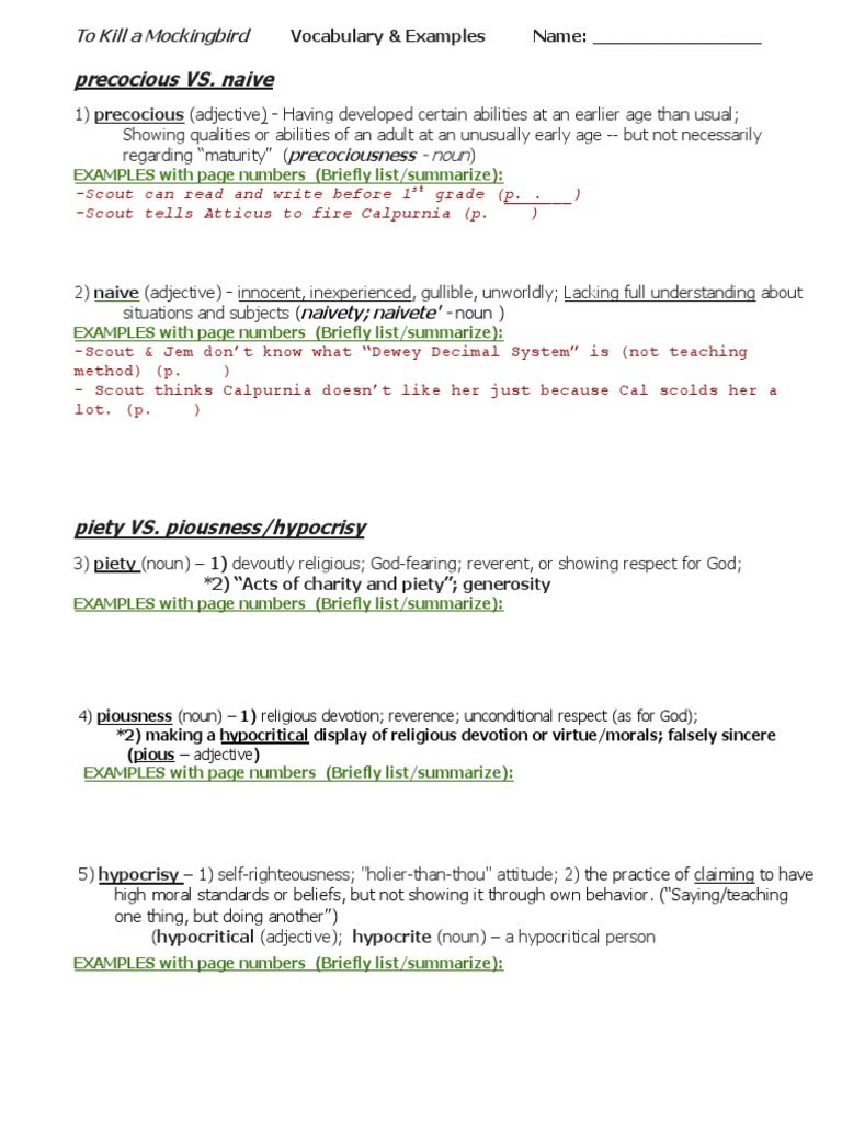 To Kill a Mockingbird Vocabulary Guide | PDF