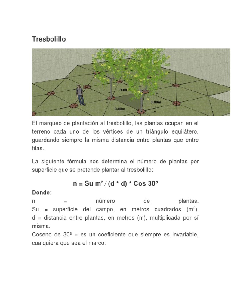 Método de Tres Bolillo