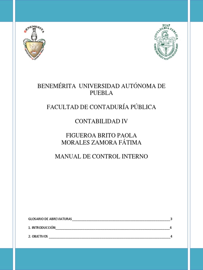 Manual de Control Interno SOFOM | PDF | Sistema de control | Calidad ...