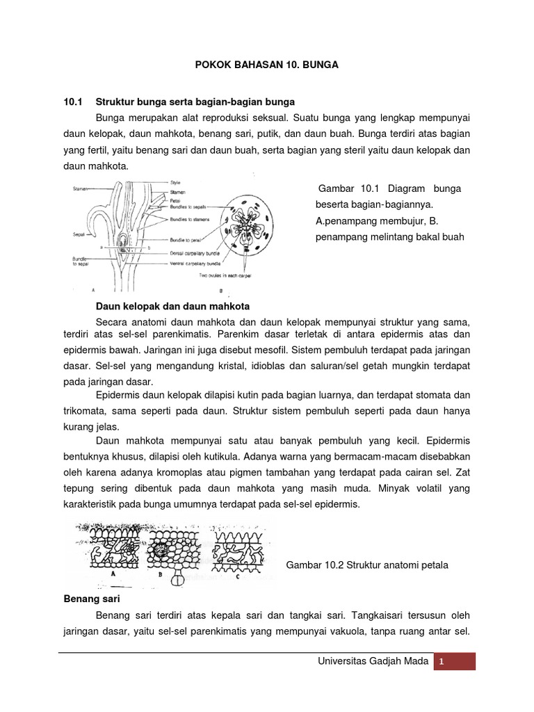 Struktur dan Anatomi Bunga Angiospermae | PDF | Sains & Matematika