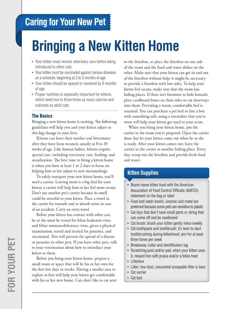 Bringing A New Kitten Home: Caring For Your New Pet | PDF | Kitten | Cats
