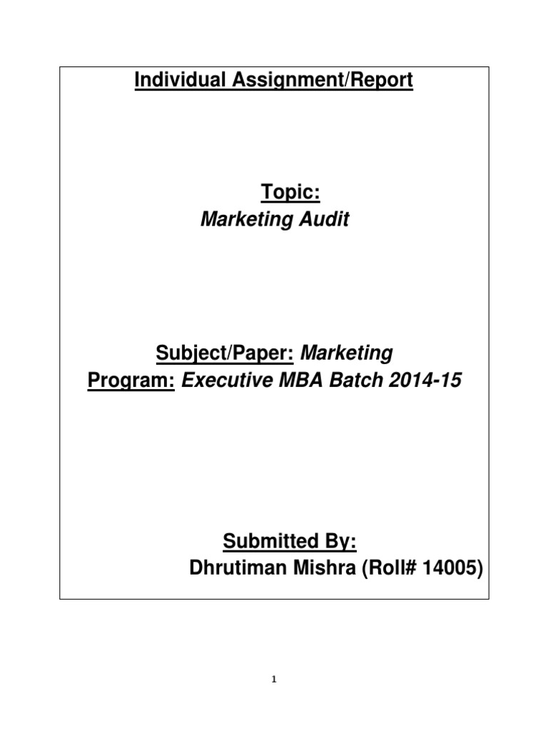Report On Marketing Audit | PDF | Strategic Management | Marketing