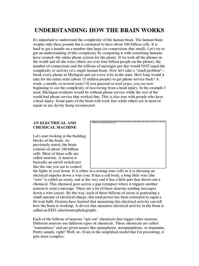 How The Brain Works | PDF | Lateralization Of Brain Function | Brain