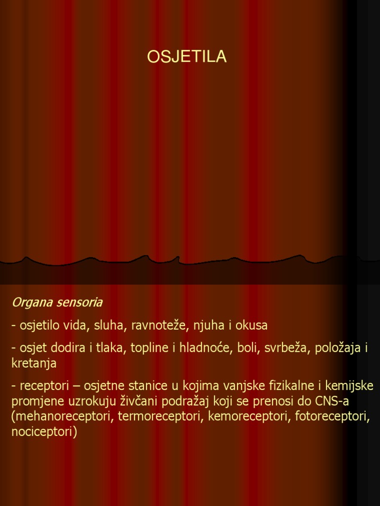 Osjetila | PDF