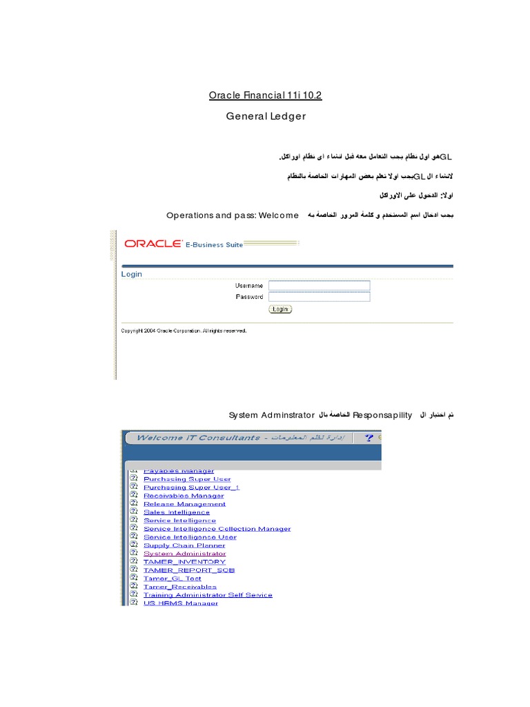 Oracle Financial 11i 10 General Ledger | PDF