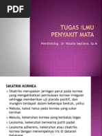 Tes Seidel & Flurosein | PDF