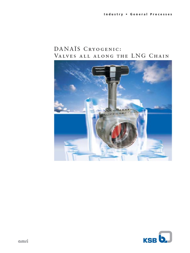 Amri danais valve ft | Liquefied Natural Gas | Valve