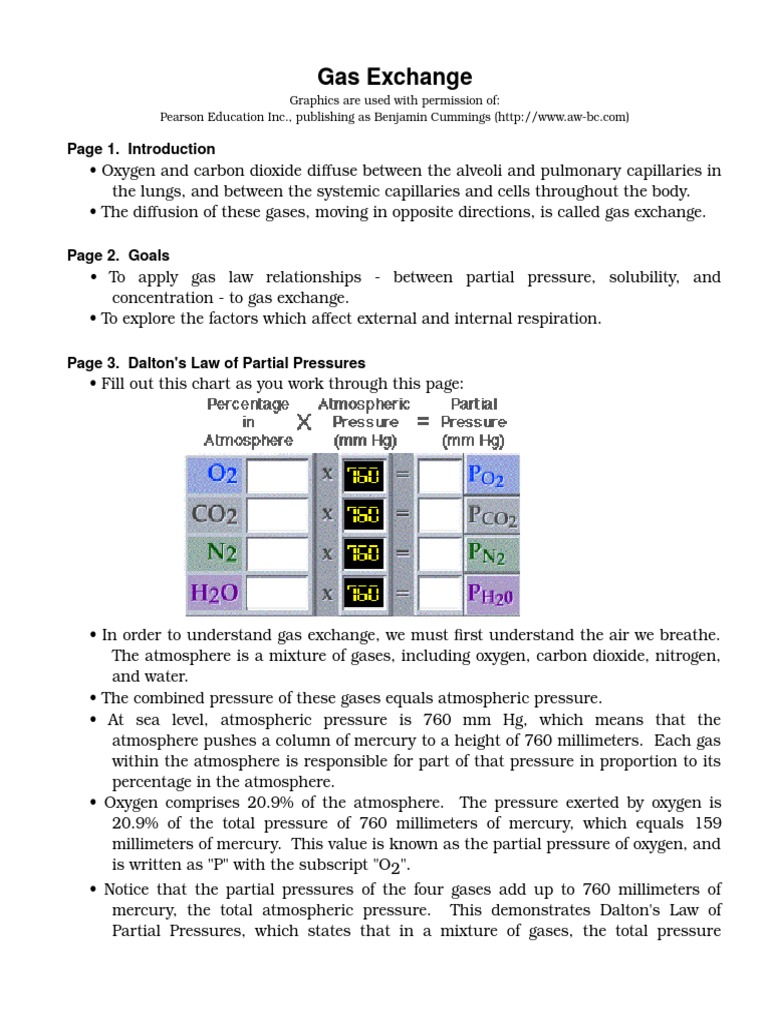Gas Exchange: Understanding the Diffusion of Oxygen and Carbon Dioxide ...