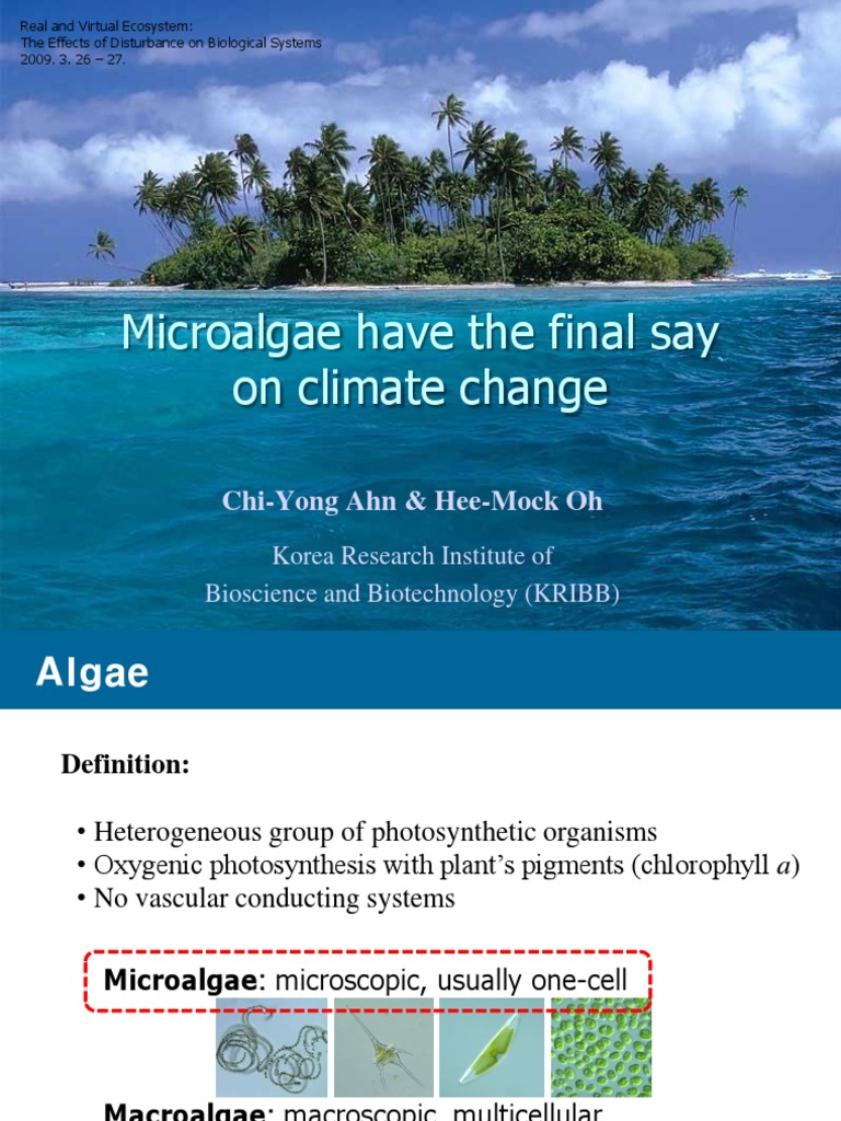 Microalgae's Role in Climate Solutions | PDF | Cyanobacteria | Systems ...
