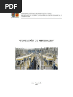 Cálculos Metalúrgicos | PDF | Minerales | Metalurgia