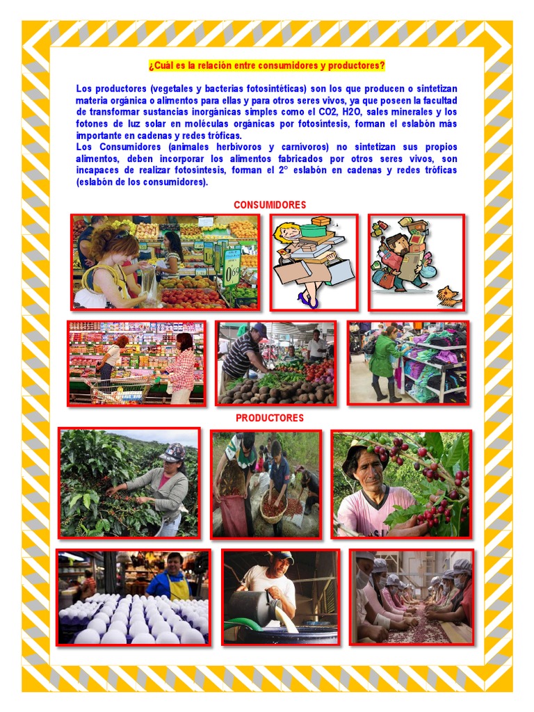 Cuál Es La Relación Entre Consumidores y Productores. Agentes ...