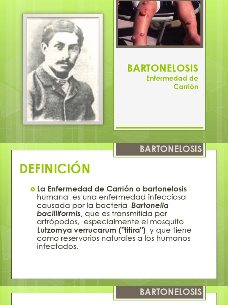 BARTONELOSIS | PDF | Especialidades Medicas | Enfermedades y trastornos