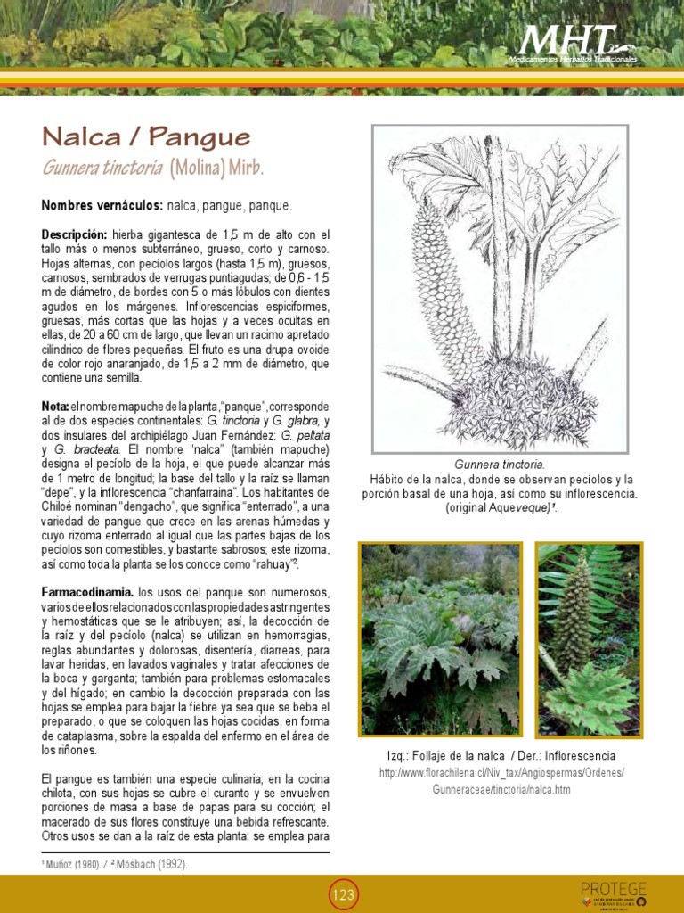 Nalca Propiedades | PDF