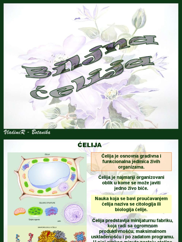 02-Gradja Celije PDF | PDF