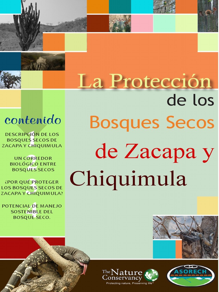 Bosque Seco | PDF | Los bosques | Guatemala
