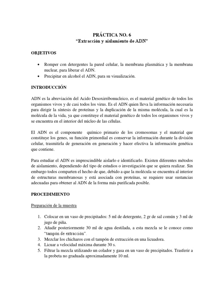 Practica Biologia Extraccion de Adn | PDF | Adn | Membrana celular