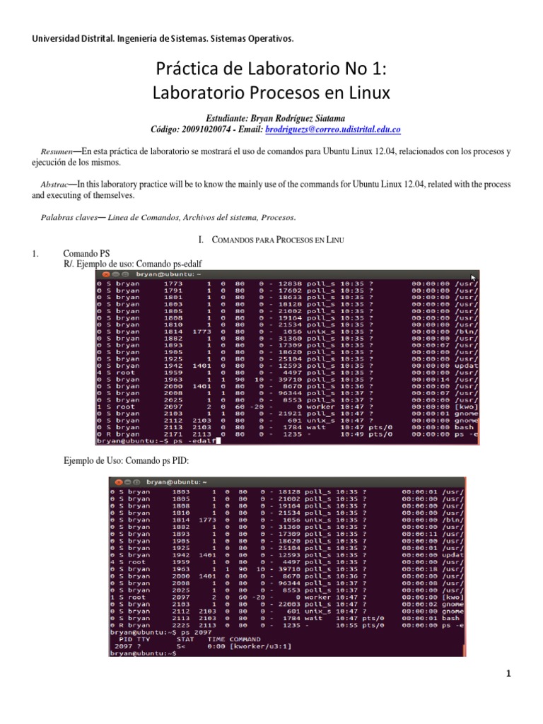 Informe Práctica Procesos Linux | PDF | Interfaz de línea de comando | Sudo