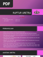 Trauma Uretra Posterior and Anterior | PDF