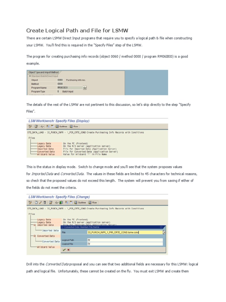 LSMW Logical Path & File Setup Guide | PDF | File Format | Computer File
