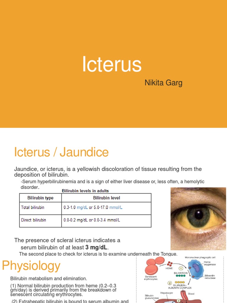 Icterus | PDF | Abdomen | Exocrine System