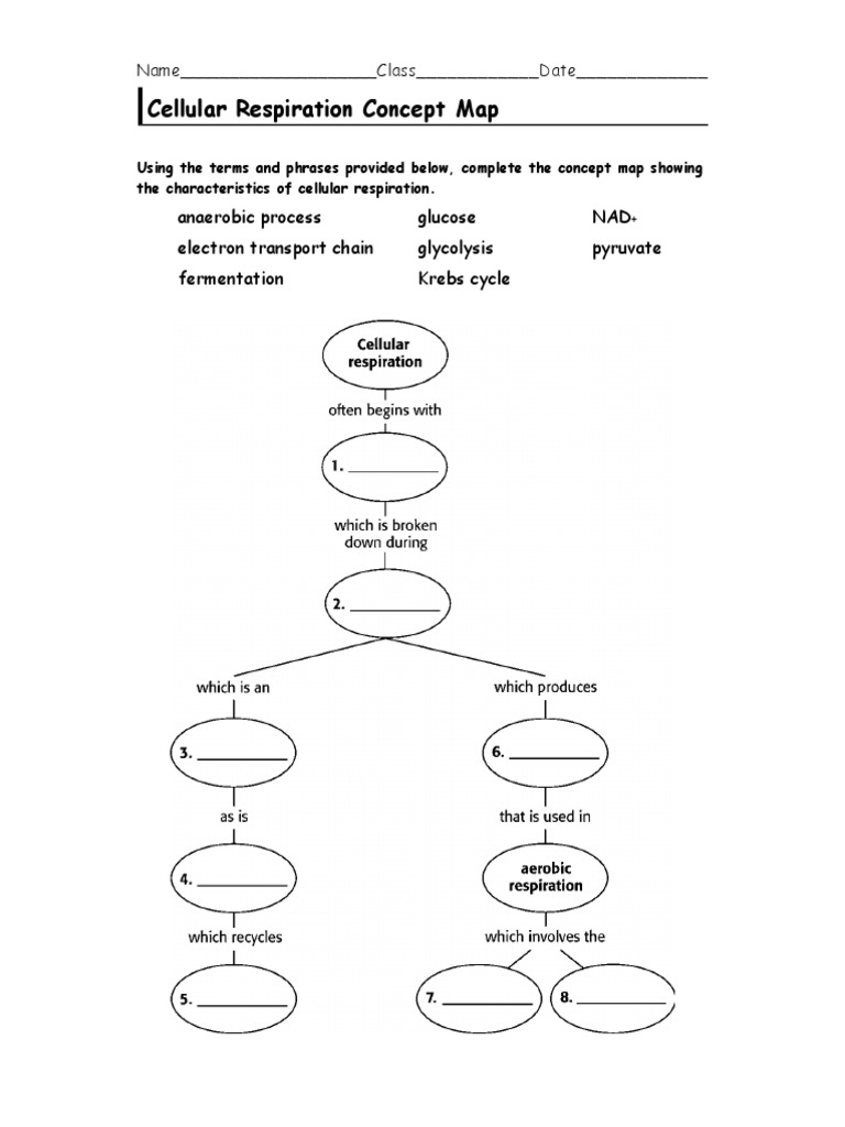 Map Cellrespiration Pdf