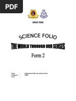 Semi Detailed Lesson Plan Science 3 | PDF | Senses | Taste