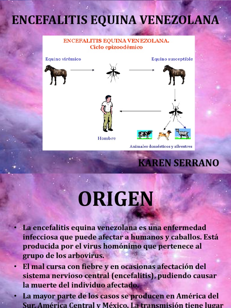 Encefalitis Equina Venezolana: Síntomas y Virus | PDF | Virus | Caballos