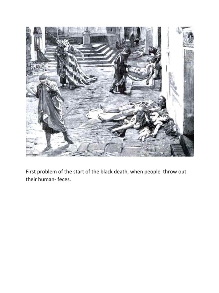 Ss Project Black Death | PDF | Social Science | History
