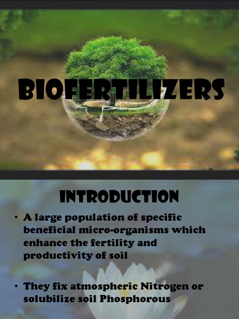 Biofertilizers. | Cyanobacteria | Microorganism