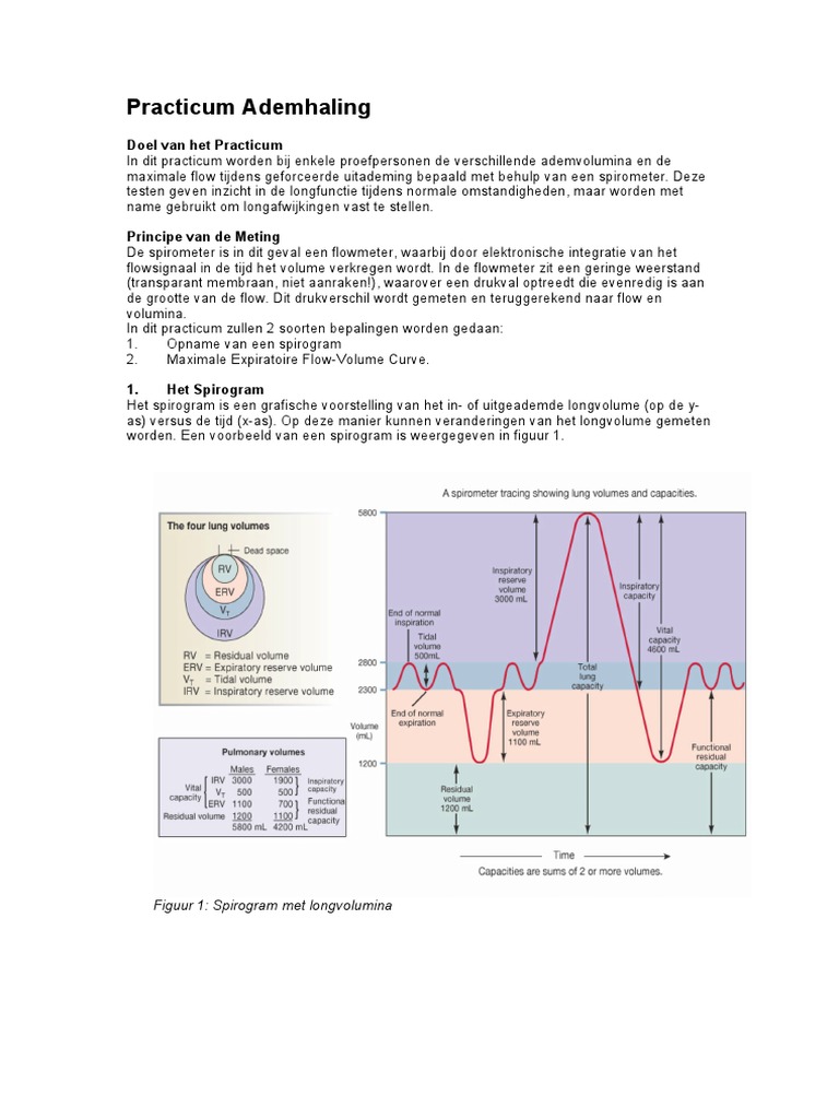 Practicum Handleidings Spirometrie | PDF