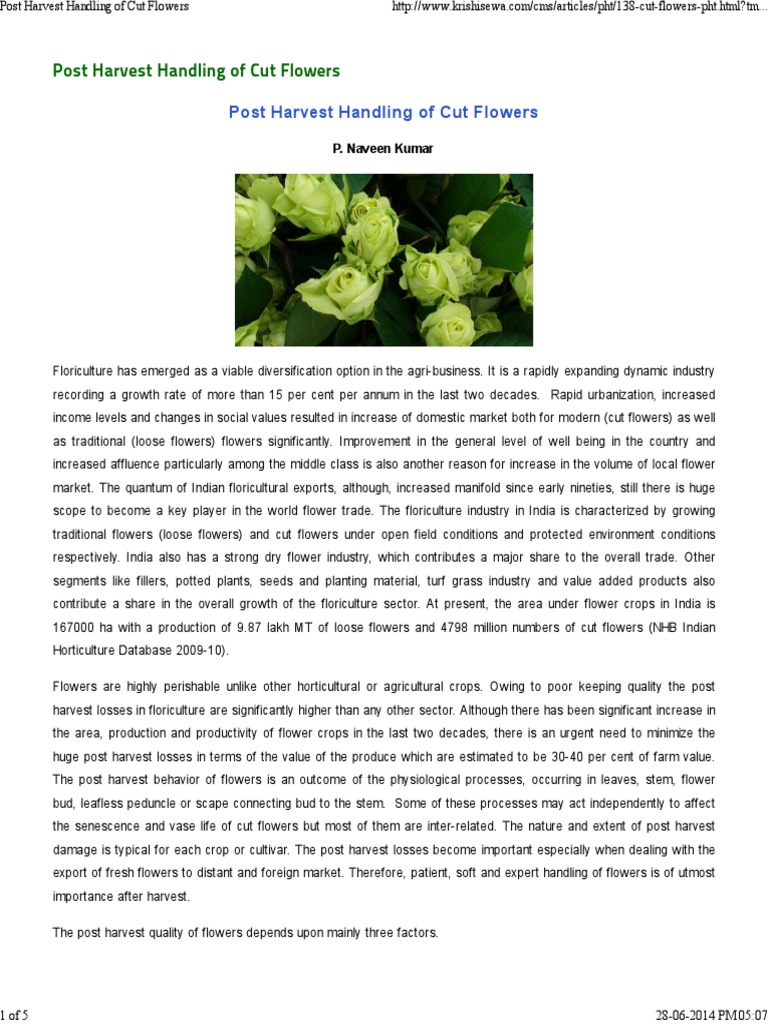 Post Harvest Handling of Cut Flowers | PDF | Plant Hormone | Flowers