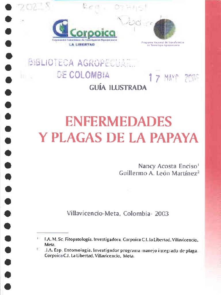 Enfermedades de La Lechoza | PDF | Naturaleza | Salud y bienestar