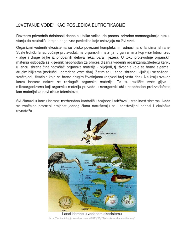 CVETANJE VODE Kao Posledica Eutrofikacije | PDF