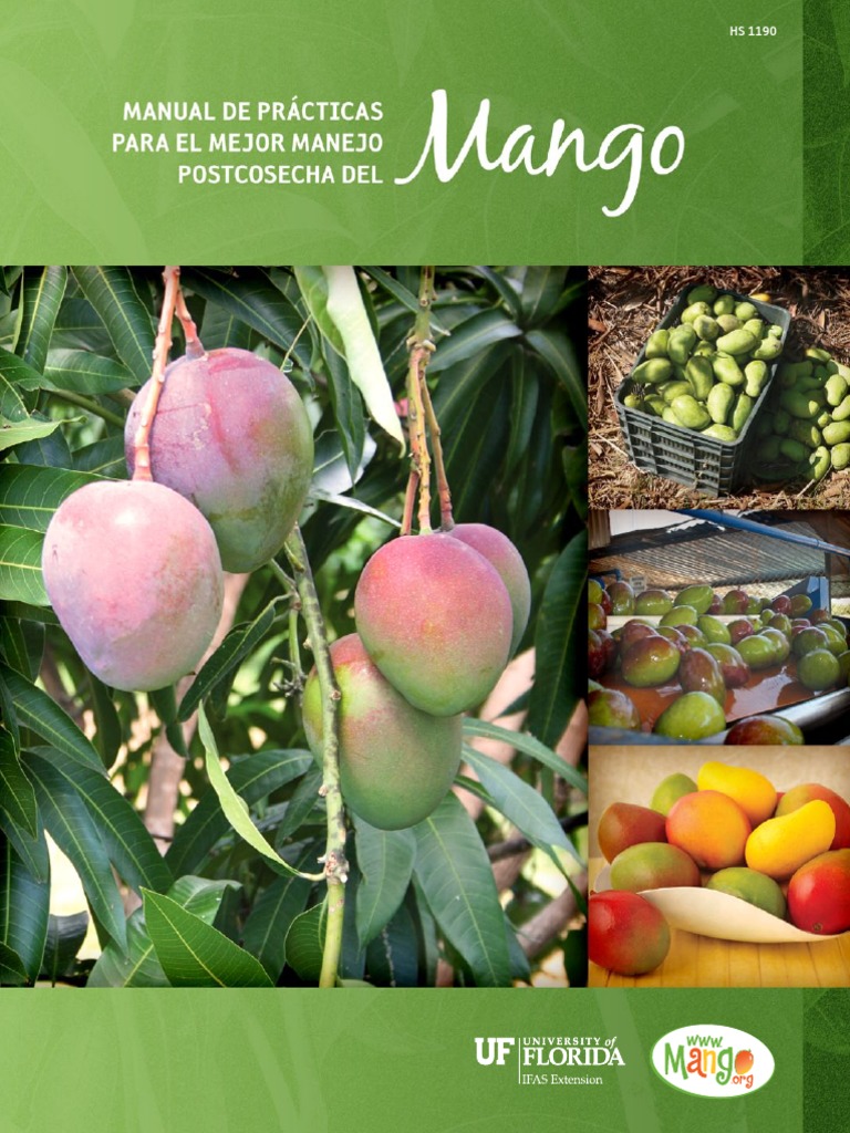 Mango, Sistemas de Calidad | PDF | Agua | Calidad (comercial)