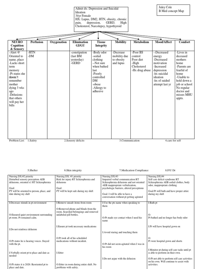 Concept Map for Schizophrenia Care | PDF | Schizophrenia | Psychiatric ...