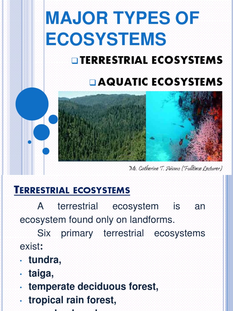 Major Types of Ecosystems | Download Free PDF | Grassland | Forests