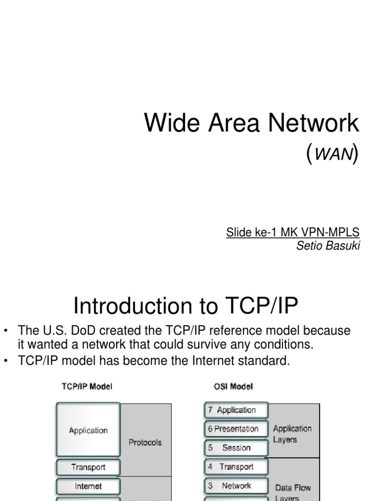 1 - Basic Network and WAN | PDF | Ip Address | Internet Protocols