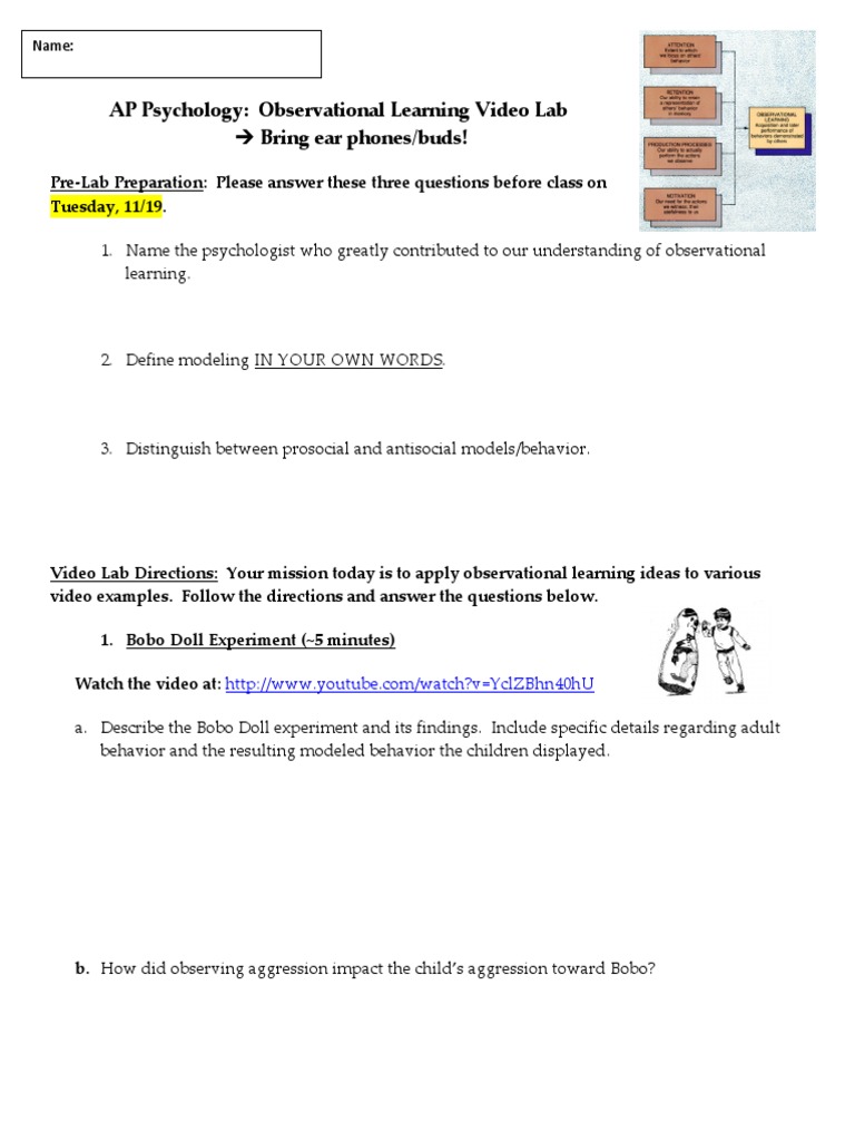 Observational Learning Video Lab Guide | PDF | Imitation | Classical ...