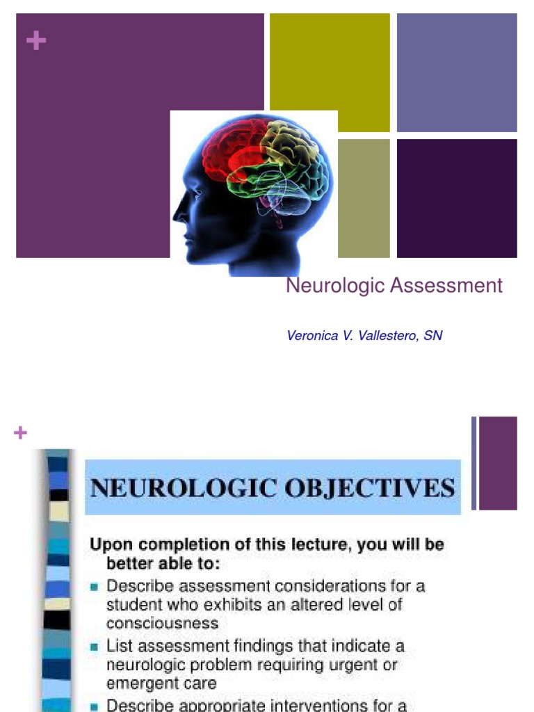 Neurologic Assessment Guide | PDF