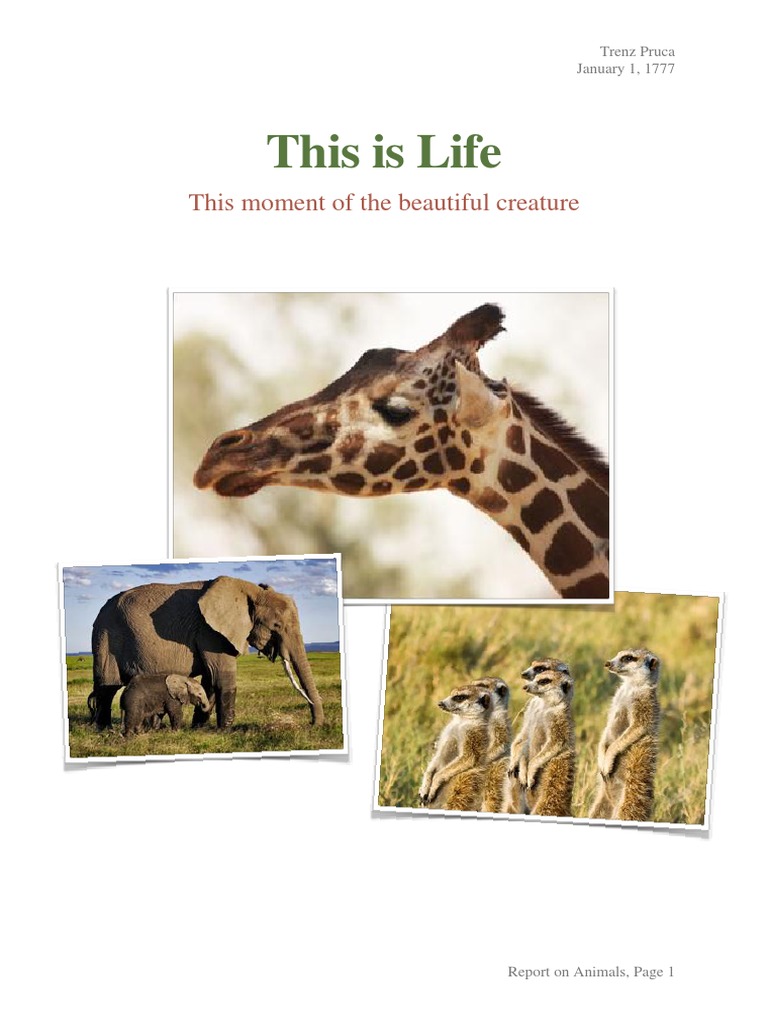 African Wildlife Report 1777 | PDF | Wellness