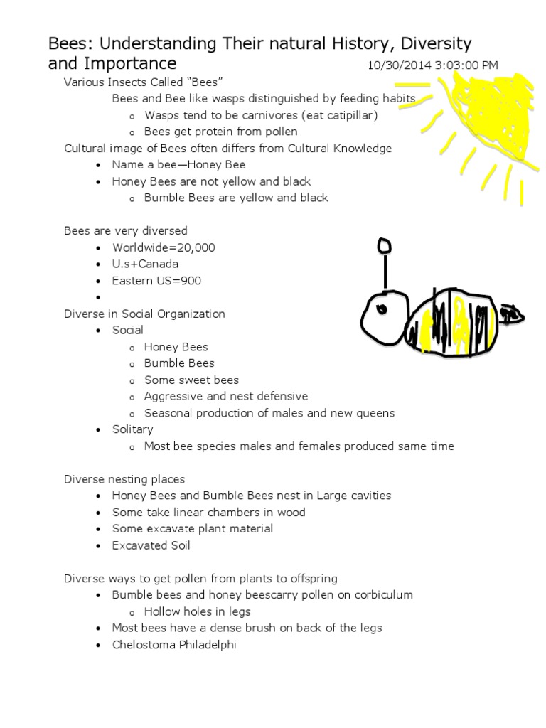 Bee Notes | PDF | Bumblebee | Bees