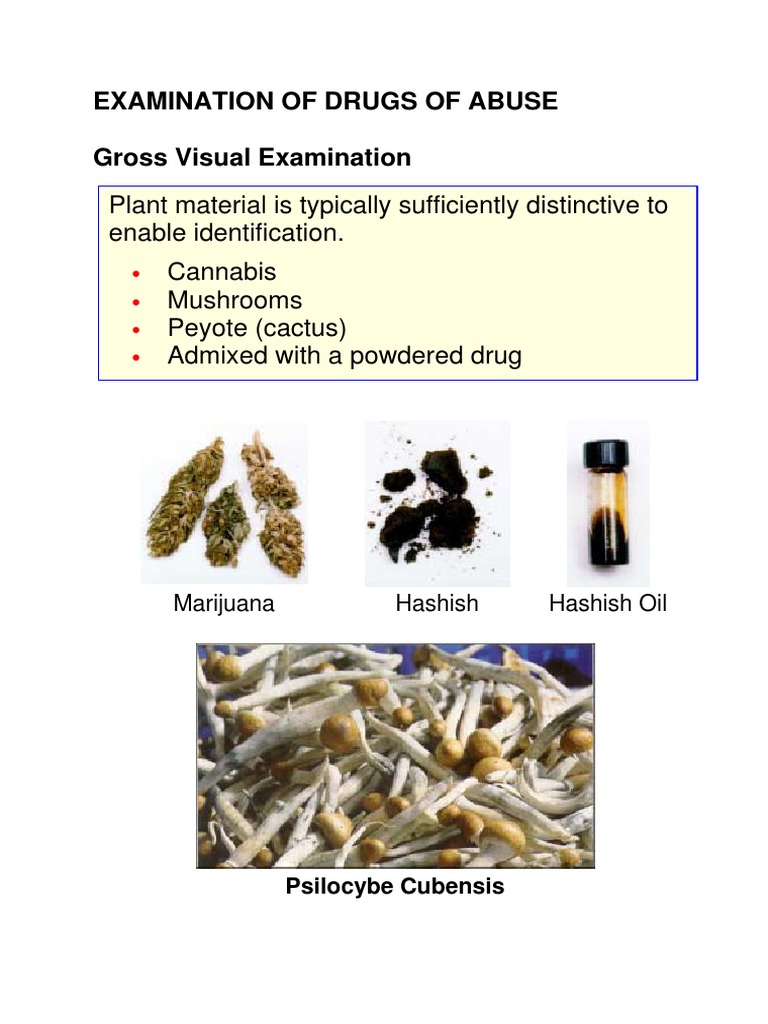 Lecture - Examination of Drugs of Abuse 1 - Spot Tests | Download Free ...
